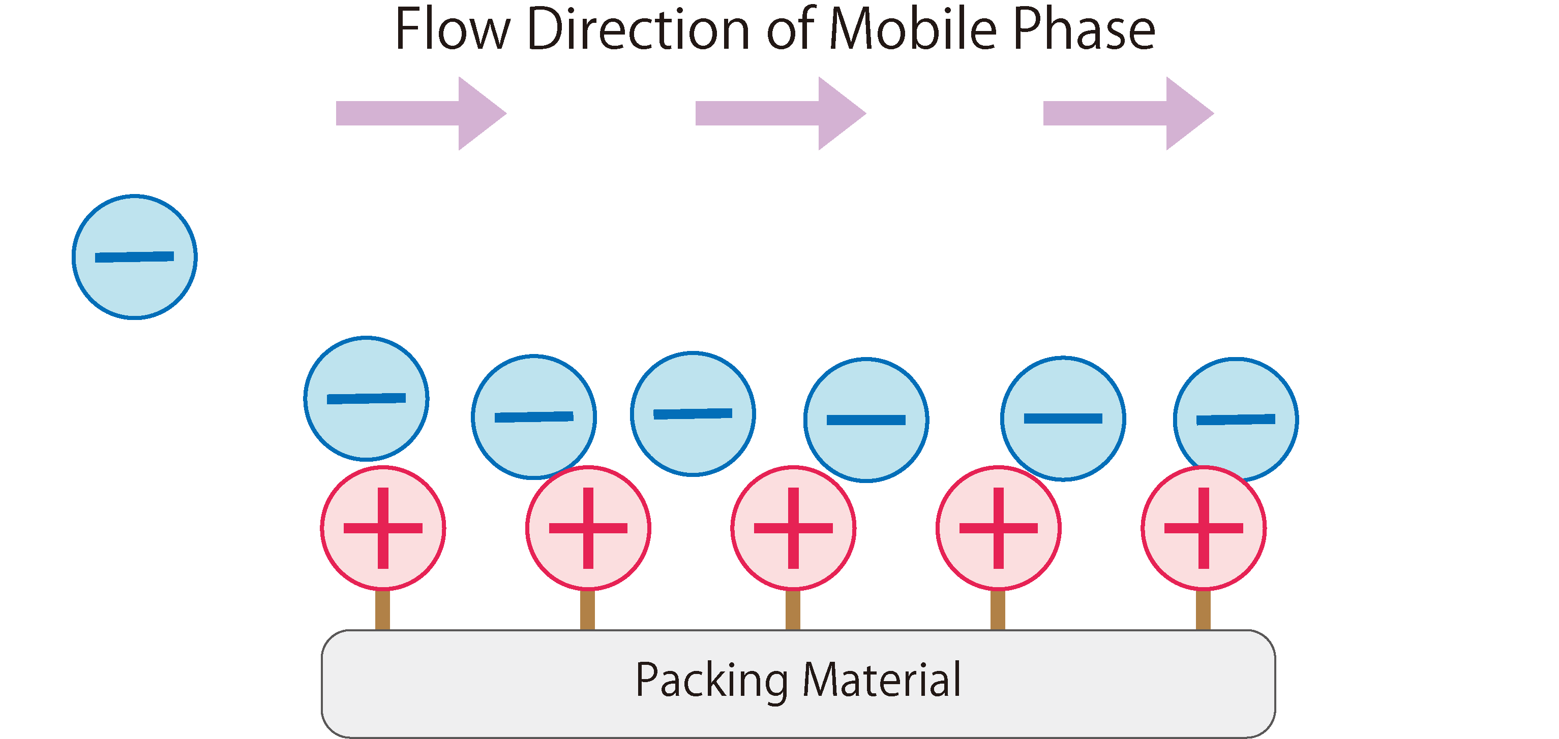 Ion Exchange Chromatography SHIMADZU Shimadzu Corporation 