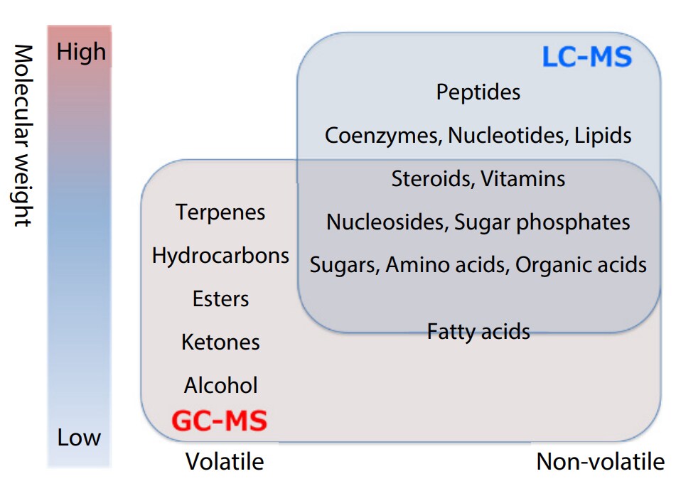 Comprehensive Measurement Of Metabolites In Gut Microbiota Using GC MS Comprehensive Measurement Of Metabolites In Gut Microbiota Using GC MS