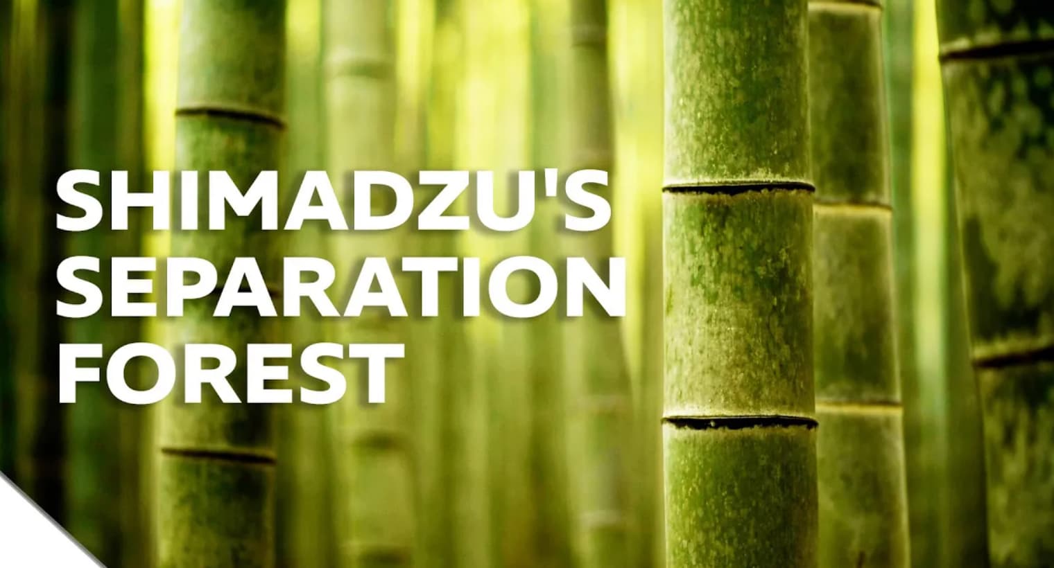 Shimadzu's Separation Forest : SHIMADZU (Shimadzu Corporation)