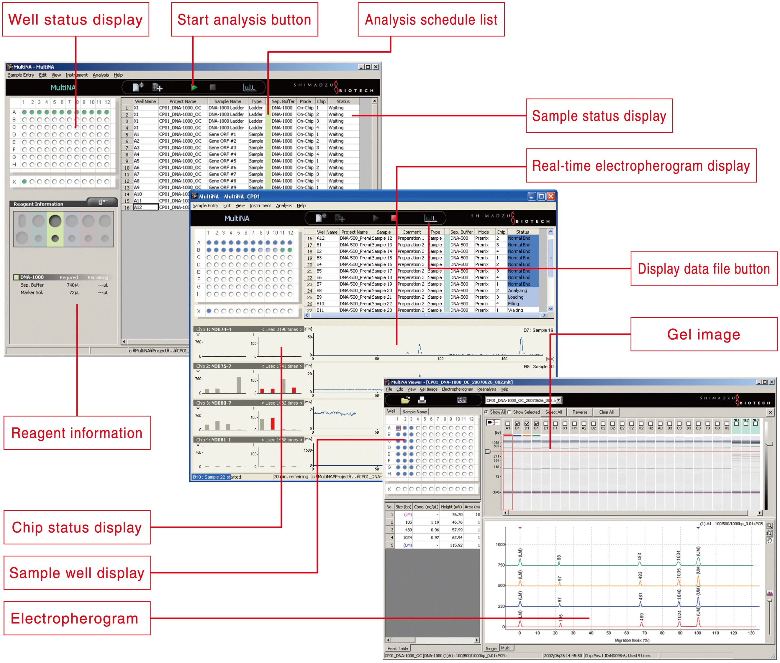 Microchip Electrophoresis System for DNA/RNA Analysis MCE™-202 MultiNA ...