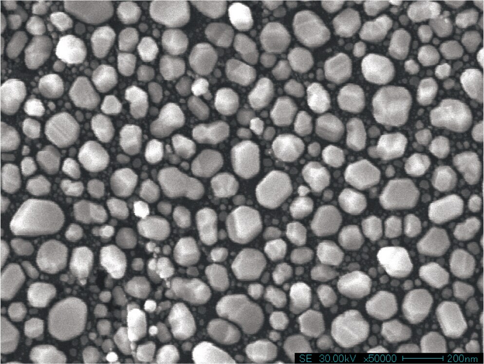 EPMA-8050G : SHIMADZU (Shimadzu Corporation)