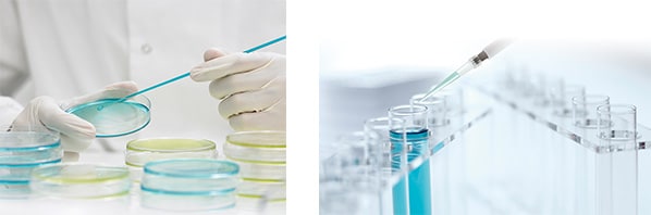 Mass Spectrometry Based Biomarker Discovery and Support for Clinical ...