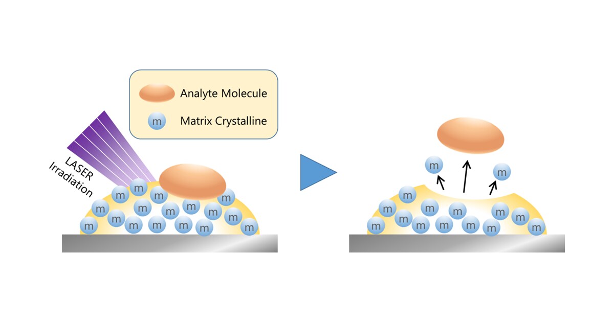 What is Mass Spectrometry? : SHIMADZU CORPORATION