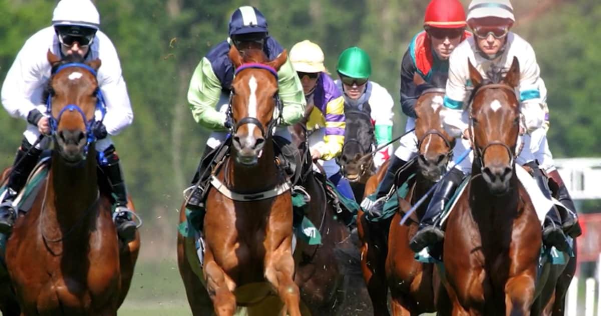 Controlling Doping in Racehorses and Protecting Animal Welfare with ...