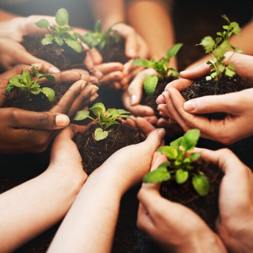 SHIMADZU TODAY | SHIMADZU CORPORATION